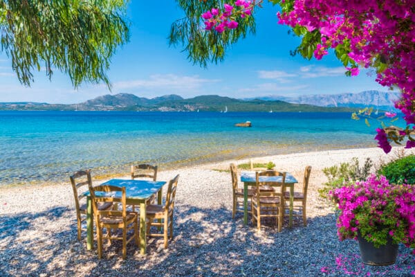 ΤΑ ΛΑΔΕΡΑ ΤΗΣ ΜΕΣΟΓΕΙΟΥ ΑΠΟ ΤΟΝ ΒΑΓΓΕΛΗ ΔΡΙΣΚΑ - «ΚΑΘΕ ΜΕΡΑ CHEF»
